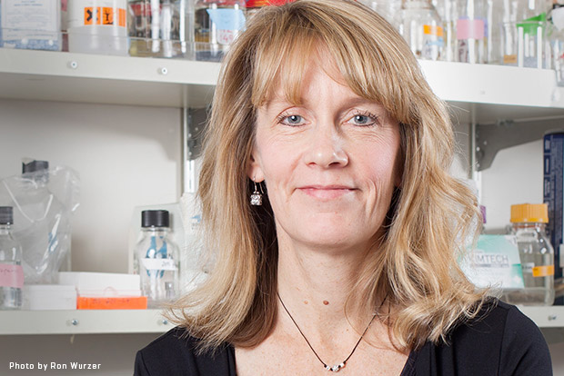Fred Hutch geneticist and biologist Sue Biggins selected as a Howard ...
