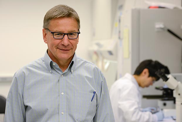 Crafting a better T cell for immunotherapy | Fred Hutchinson Cancer Center