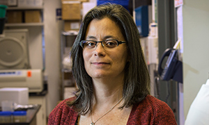 First test of 'off-the-shelf' cord blood cell product outside the ...