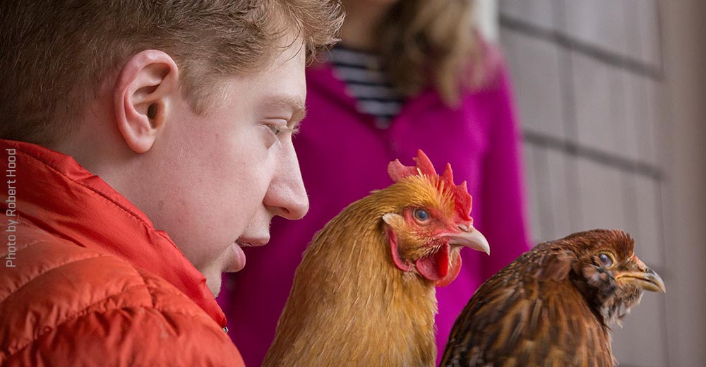 A boy, his chicken and a bone marrow transplant | Fred Hutchinson ...