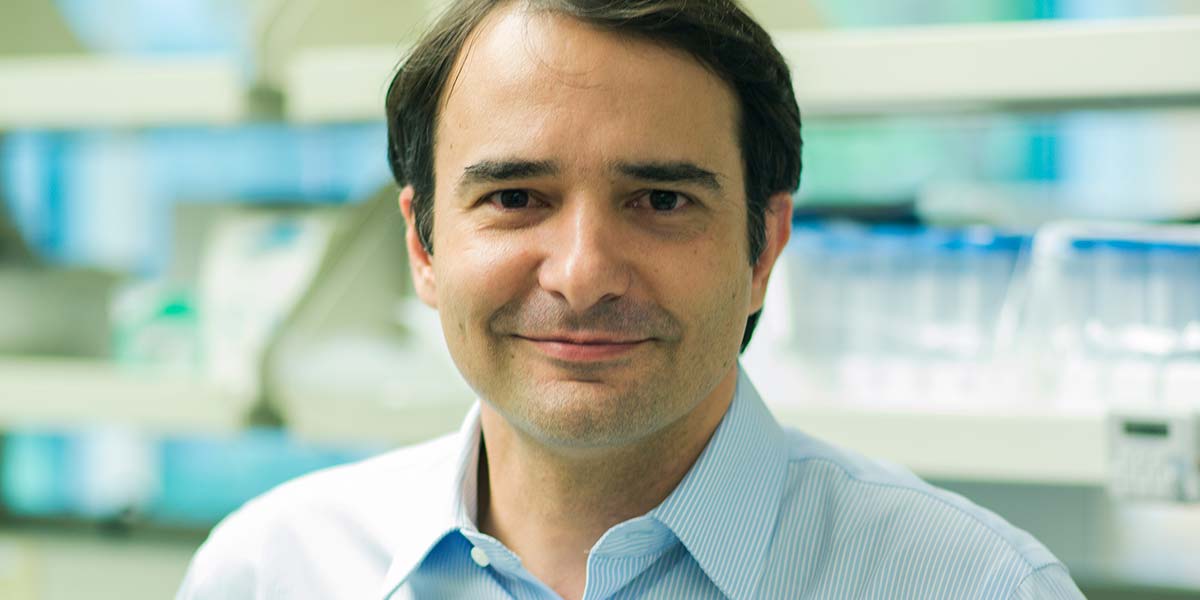 Good News: Normal skin cells keep cancer at bay | Fred Hutchinson ...