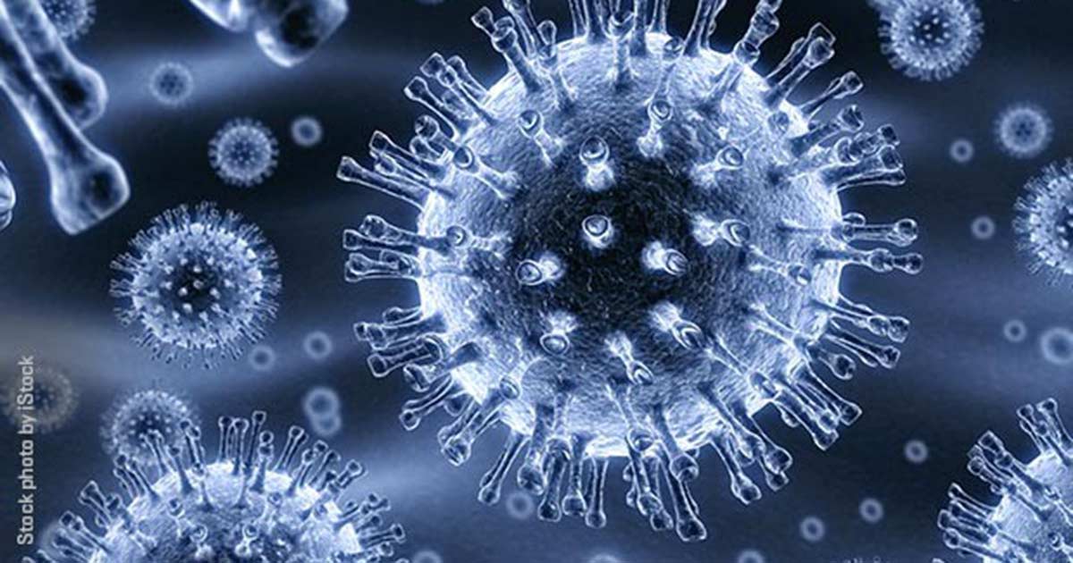 Understanding HIV’s evolutionary past — and future | Fred Hutchinson ...