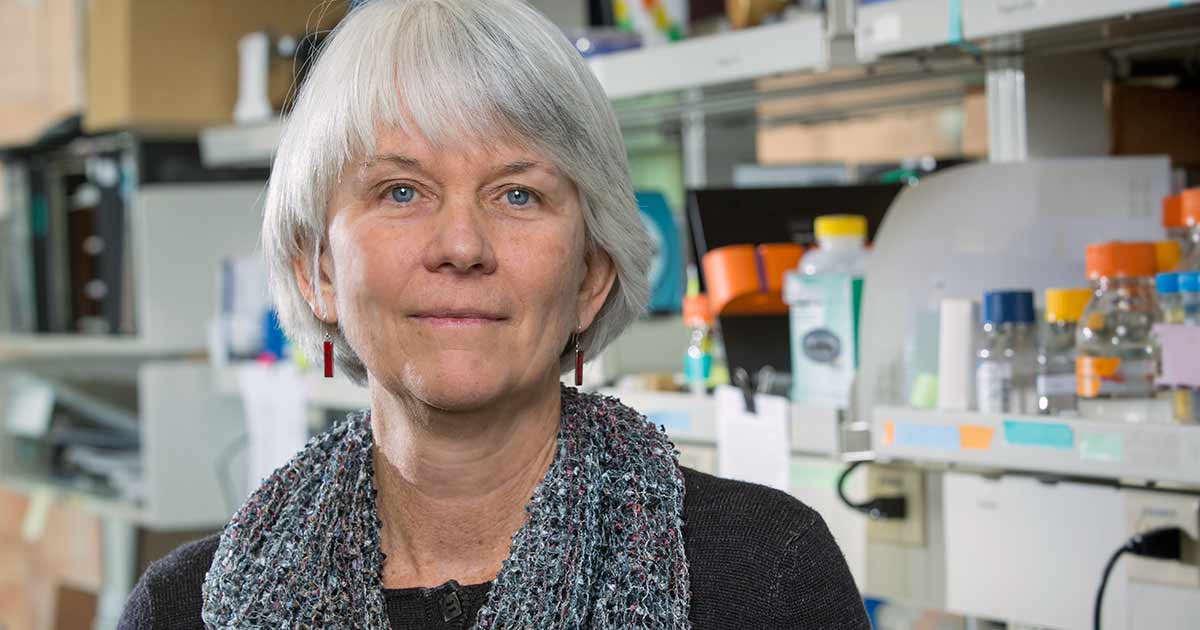25 powerful years of HIV research - Fred Hutch