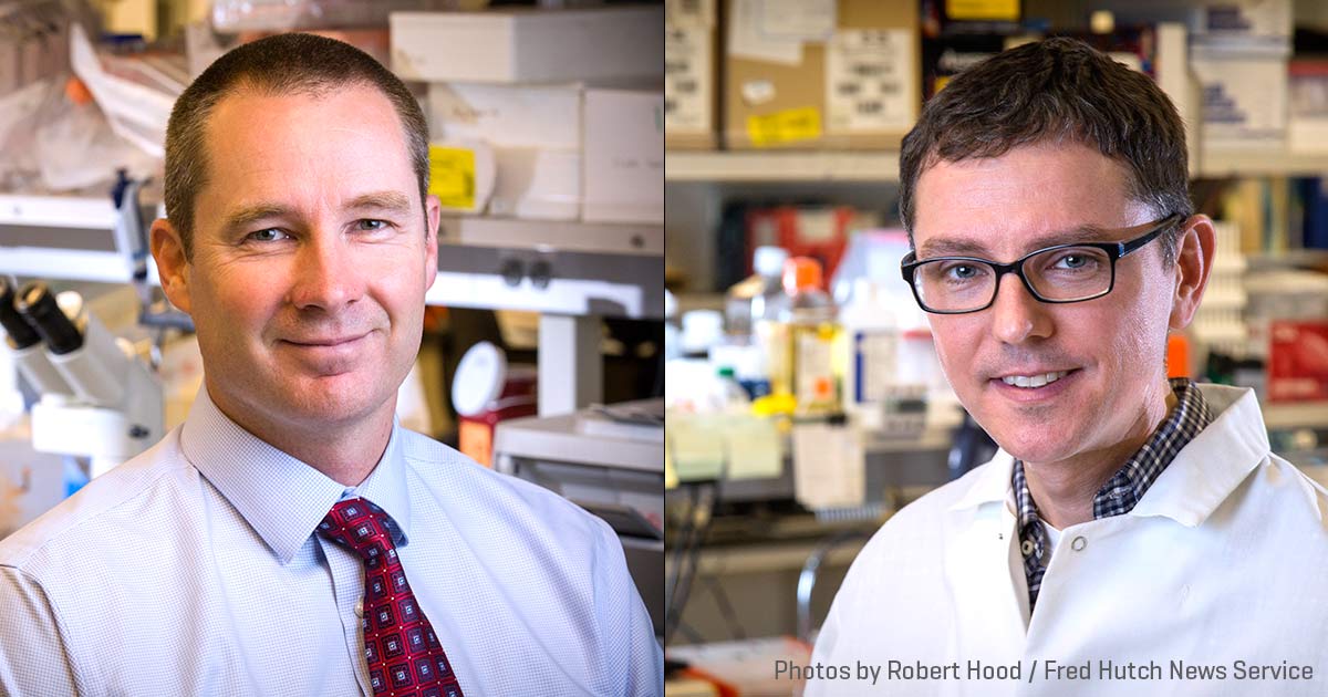 Dr. Cameron Turtle receives Anderson Family Endowed Chair for ...