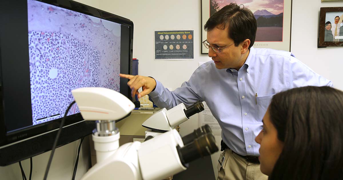 Immunotherapy has long-term benefit for patients with advanced Merkel ...