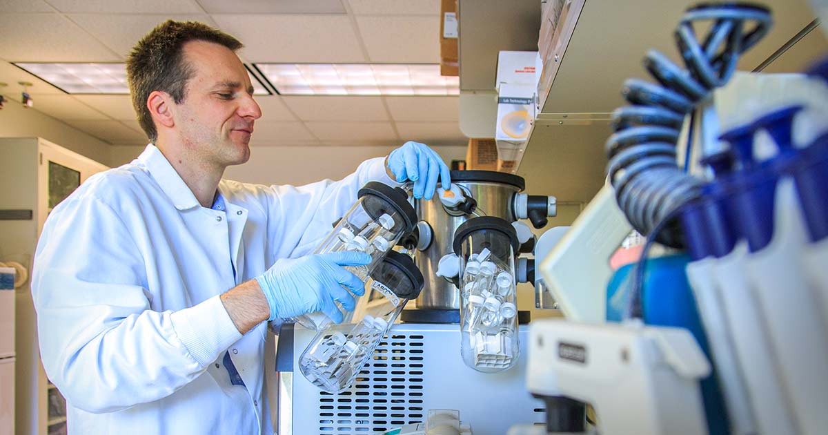 Dr. Matthias Stephan named Allen Distinguished Investigator | Fred ...