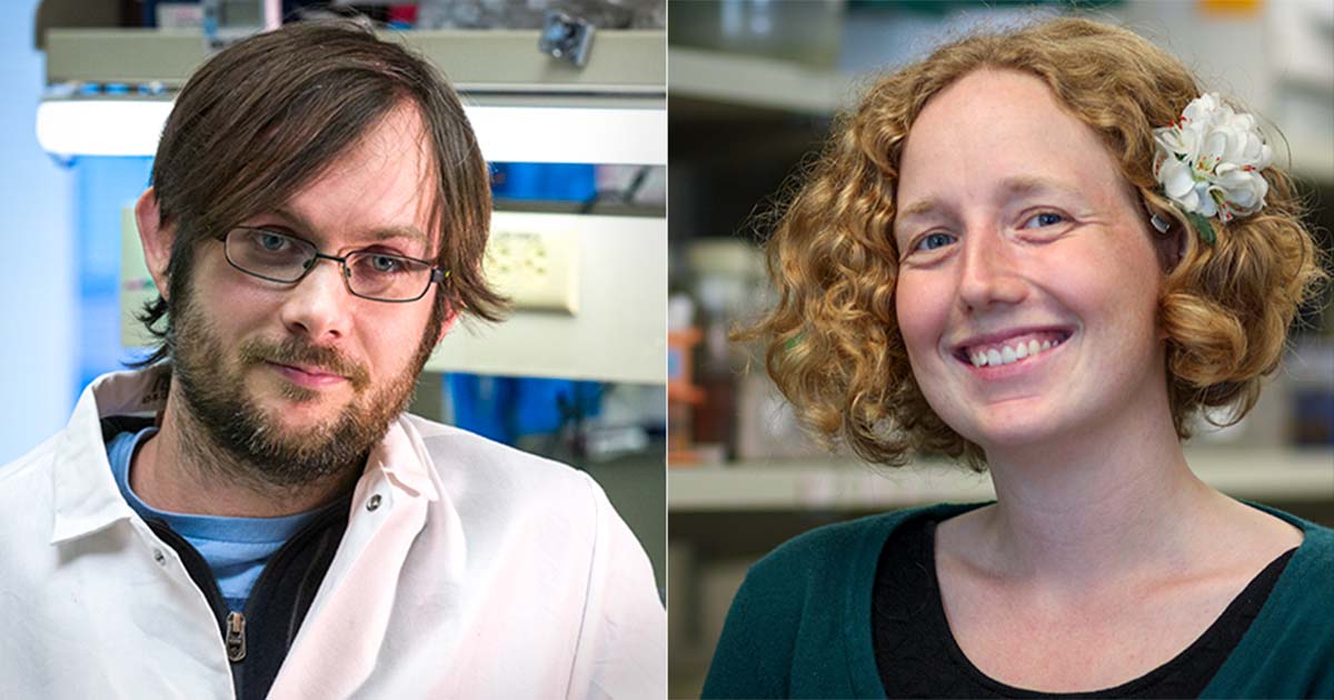 2 Hutch postdocs named Damon Runyon-Dale F. Frey Breakthrough ...