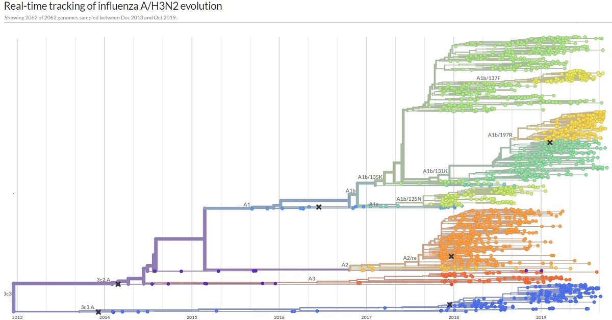Hutch influenza experts assay the latest science | Fred Hutchinson ...