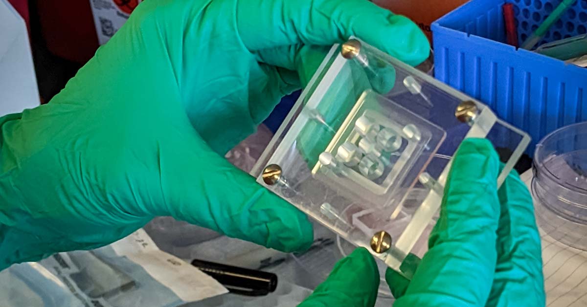 Researching herpes treatments with 'skin-on-chip' technology | Fred ...