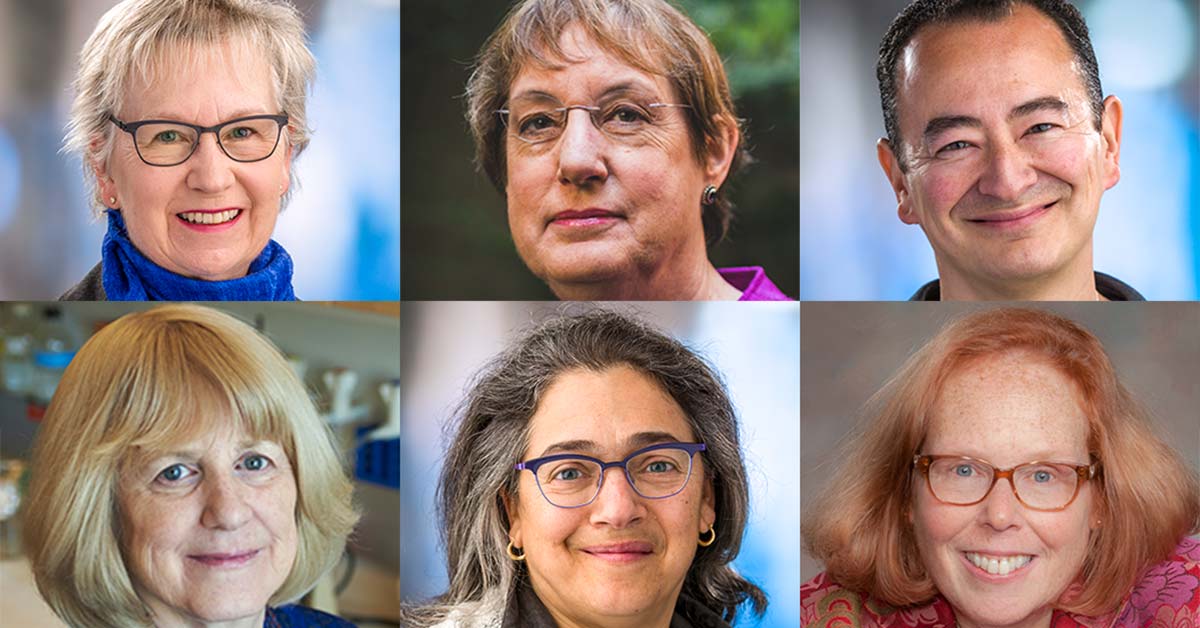 Fred Hutch/UW/Seattle Children’s Cancer Consortium breast cancer ...