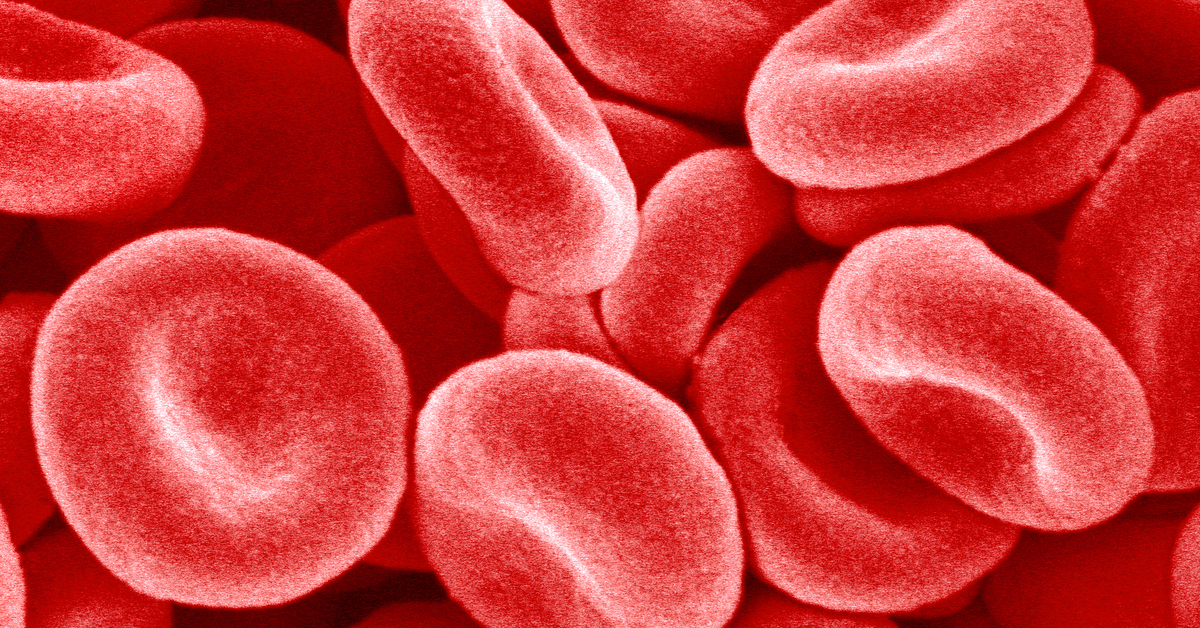 Dr. Filippo Milano receives inaugural Endowed Chair in Cord Blood ...