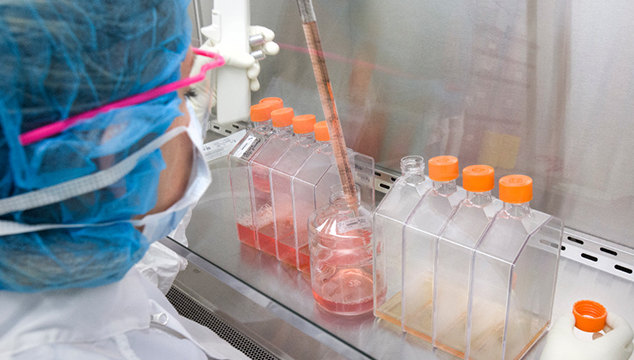 About Fred Hutch - Fred Hutch