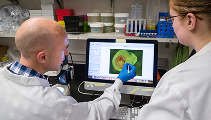 Scientific Recruiting | Fred Hutchinson Cancer Center