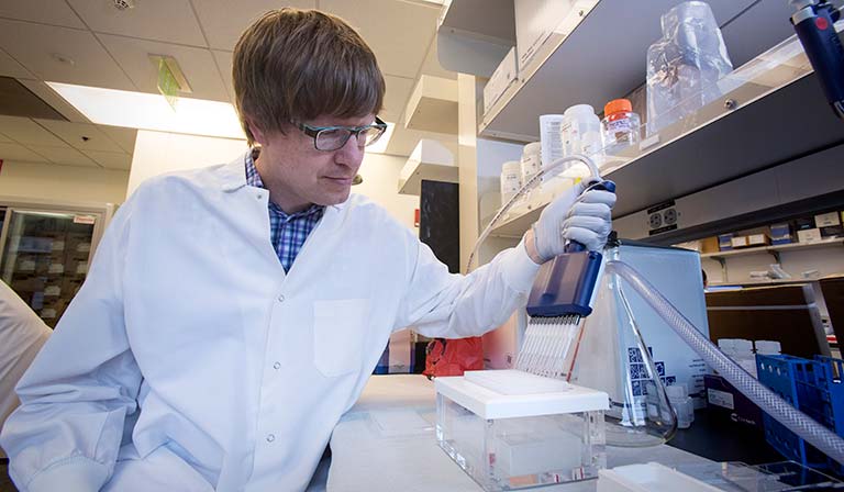 Postdoctoral Fellowships | Fred Hutchinson Cancer Center