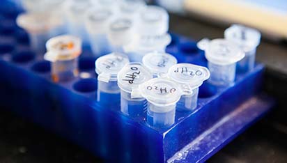 Science Education Partnership Curriculum | Fred Hutchinson Cancer Center