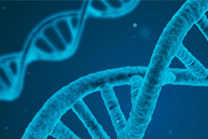 Why cascade testing, a type of genetic testing, Is key to cancer care ...