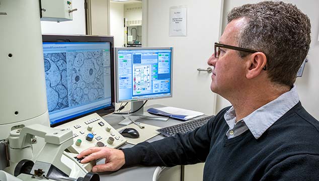 Investors & Industry - Fred Hutch