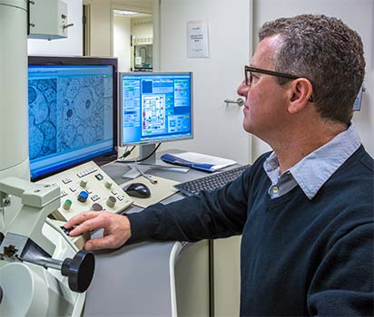 Research | Fred Hutchinson Cancer Center