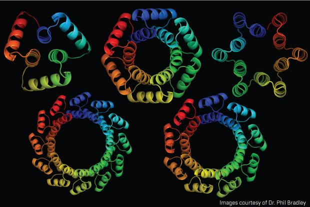 Building a better protein in the hope of better therapies | Fred ...