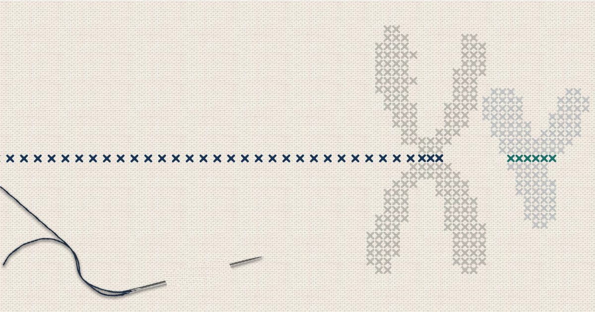 ‘Waistbands’ of our chromosomes marked by unusual X-shaped DNA | Fred ...