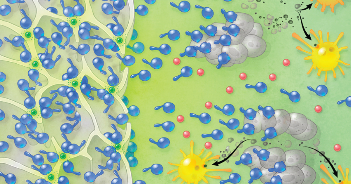 Dissolving implant could bring immunotherapy to solid tumors | Fred ...