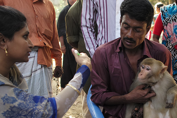 HIV’s unusual family tree | Fred Hutchinson Cancer Center