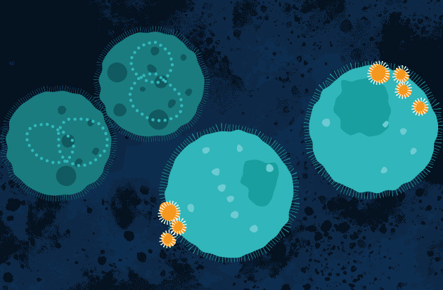 Nanoparticles loaded with mRNA give disease-fighting properties to ...