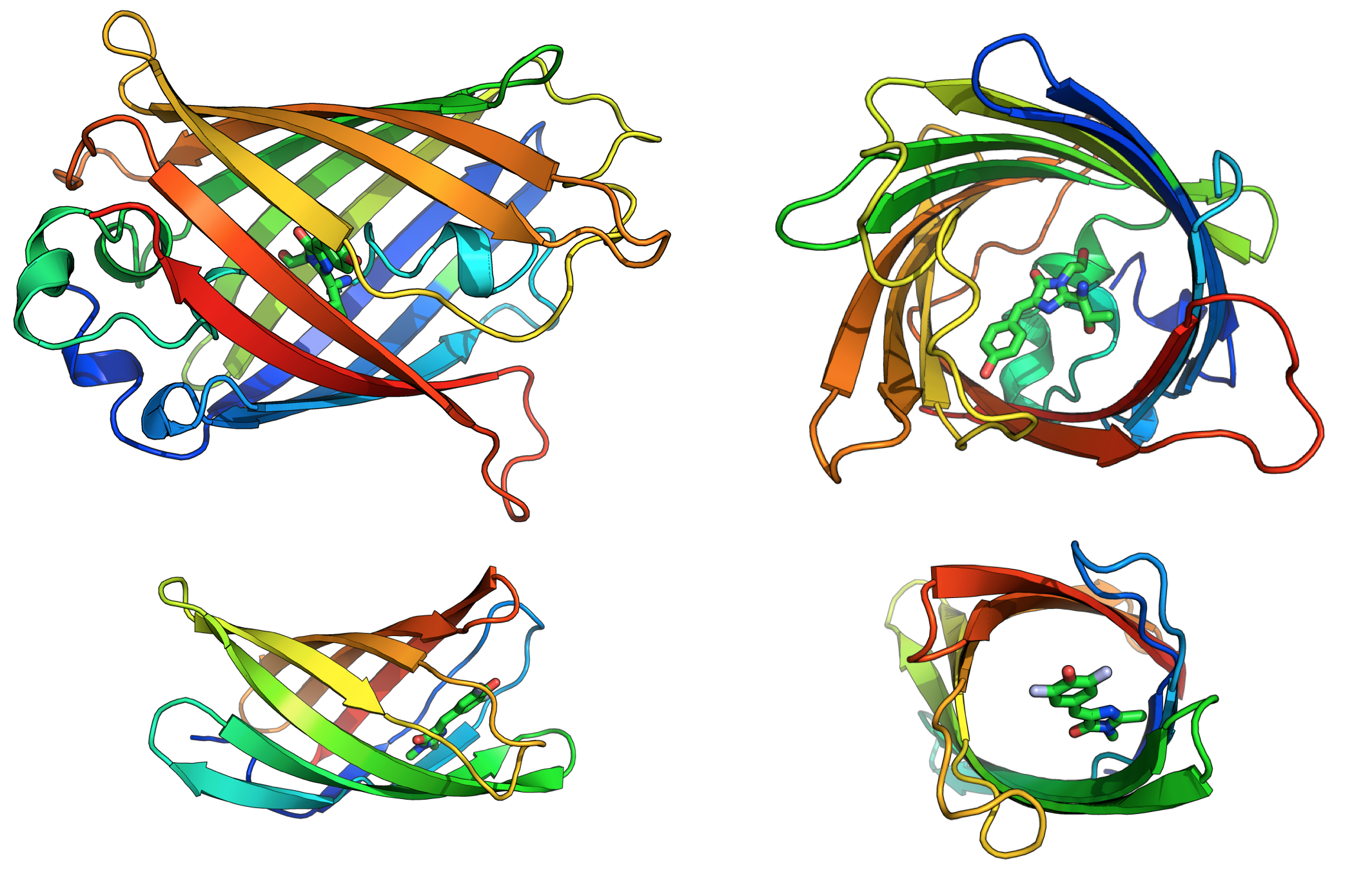 Barreling the way to designer proteins | Fred Hutchinson Cancer Center