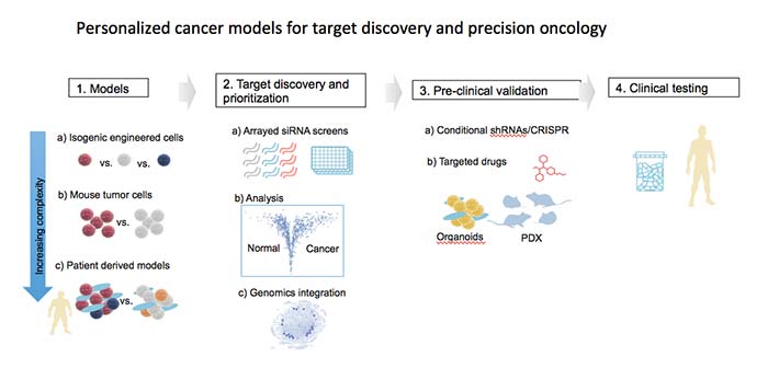 Personalized medicine for head and neck cancer | Fred Hutchinson Cancer ...