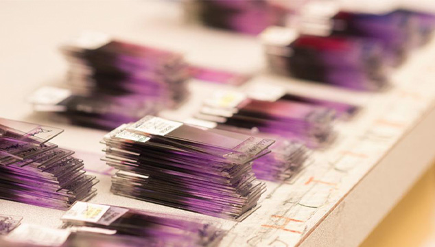 Clinical Labs - Fred Hutch