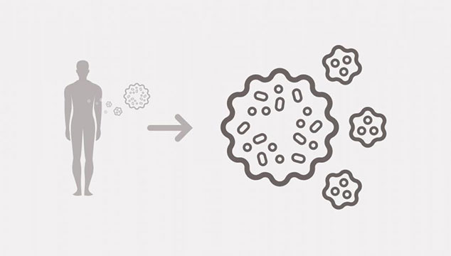 Cellular Immunotherapy | Fred Hutchinson Cancer Center