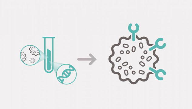 Cellular Immunotherapy | Fred Hutchinson Cancer Center