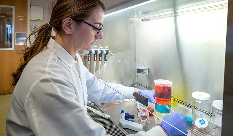 Training and Awards - Fred Hutch