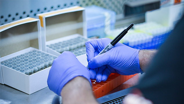 Molecular Design and Therapeutics - Fred Hutch