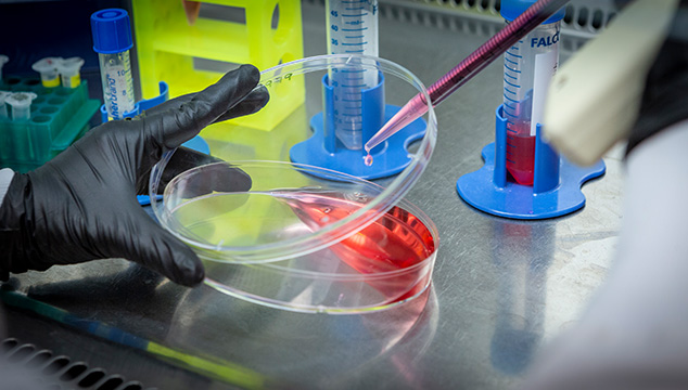 Vector Production | Fred Hutchinson Cancer Center