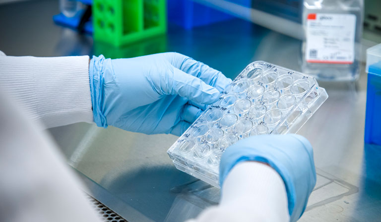 Human Biology Research Programs | Fred Hutchinson Cancer Center