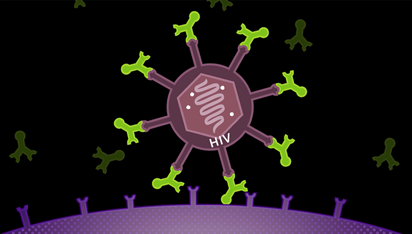 PrEP & TasP | Fred Hutchinson Cancer Center