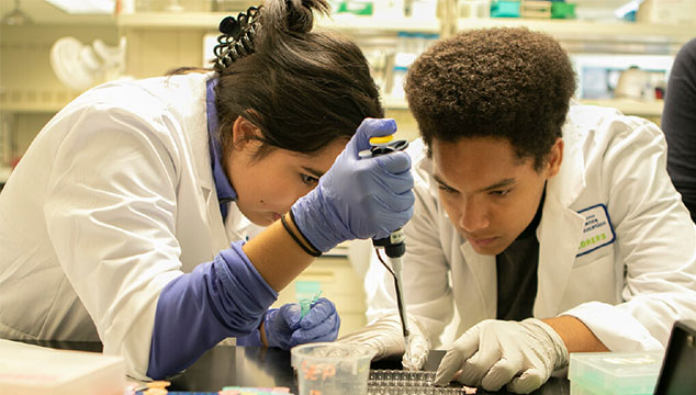 High School Students | Fred Hutchinson Cancer Center