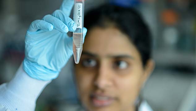 Immunotherapy IRC - Fred Hutch