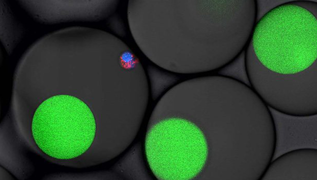 Institutes, Networks & IRCs | Fred Hutchinson Cancer Center