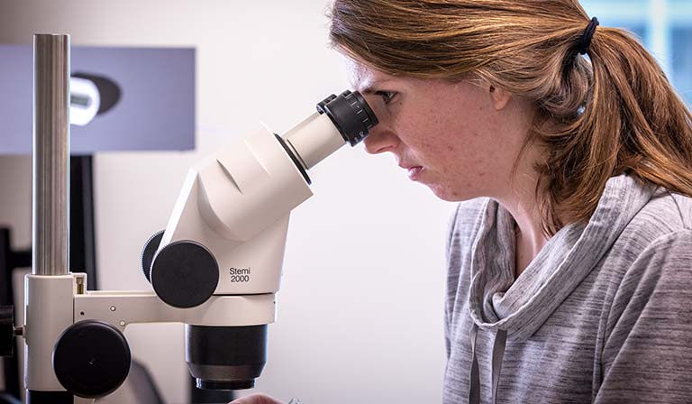 Cell Biology | Fred Hutchinson Cancer Center