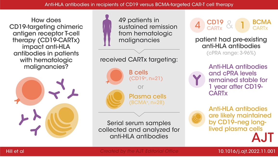 Work smarter not harder: Leveraging cancer immunotherapies to improve ...