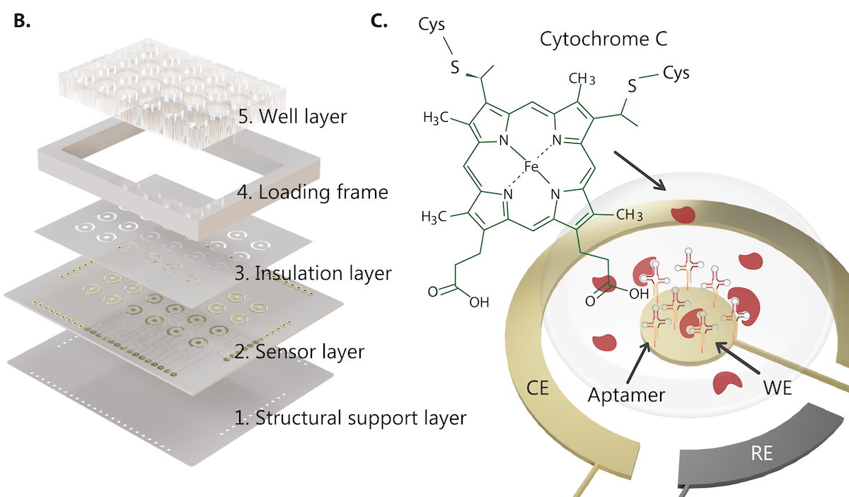 Cell death on a chip: new tools for a new era of cancer biology | Fred ...