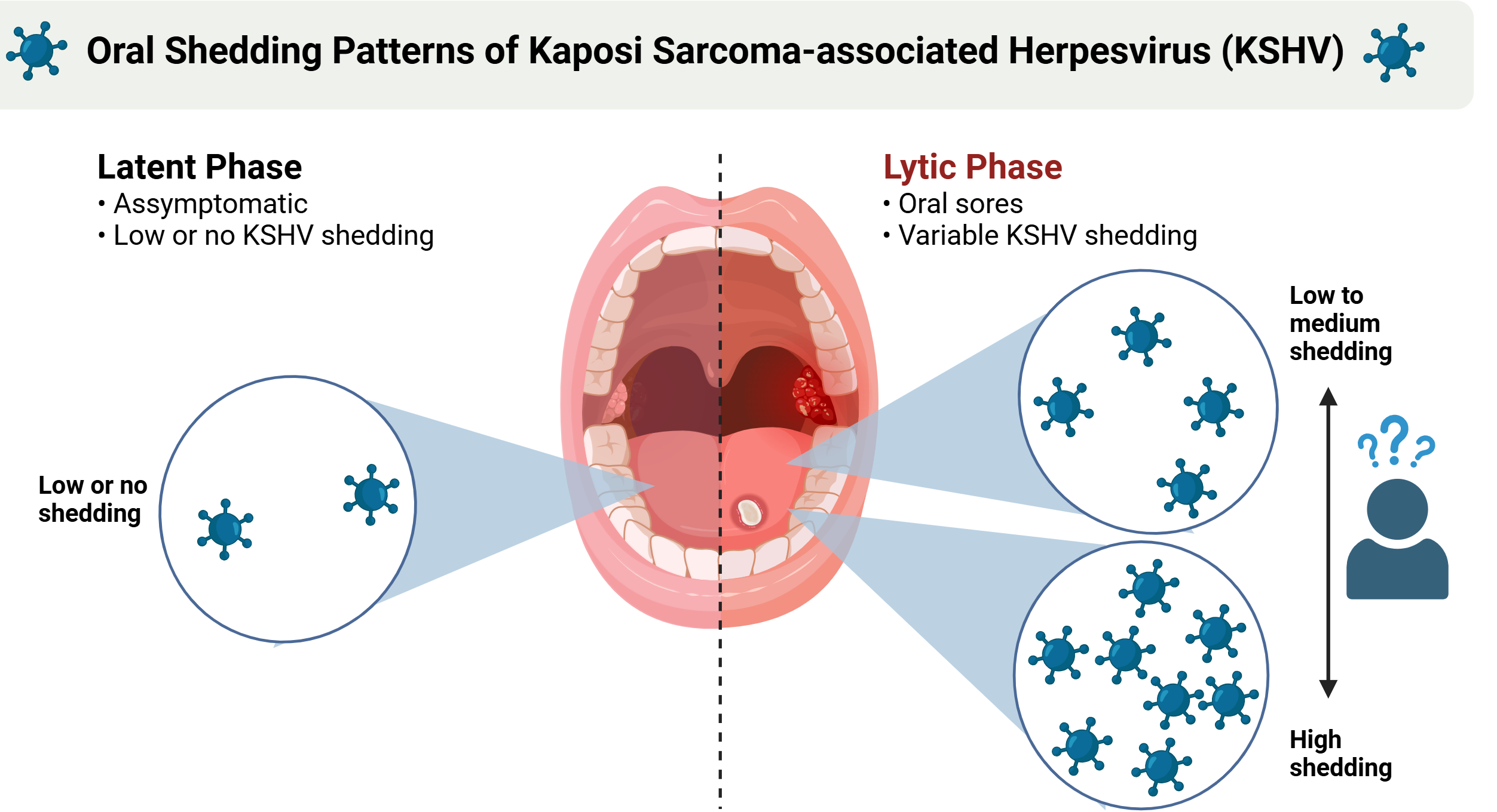 Oral Shedding: A Kaposi Sarcoma Mystery | Fred Hutchinson Cancer Center