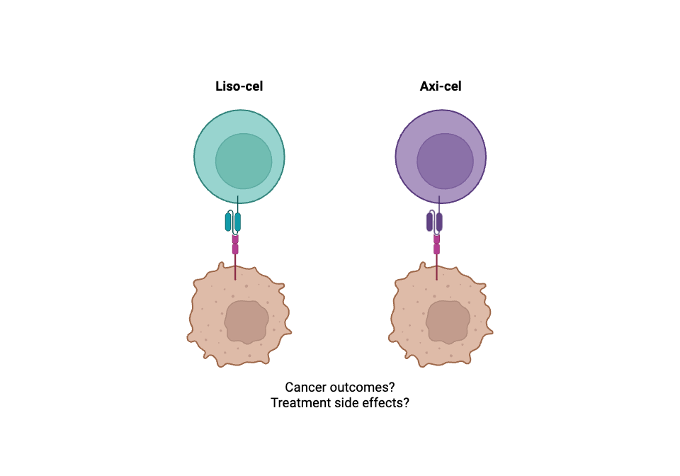 A tale of two T-cells: comparing liso-cel and axi-cel for treatment of ...