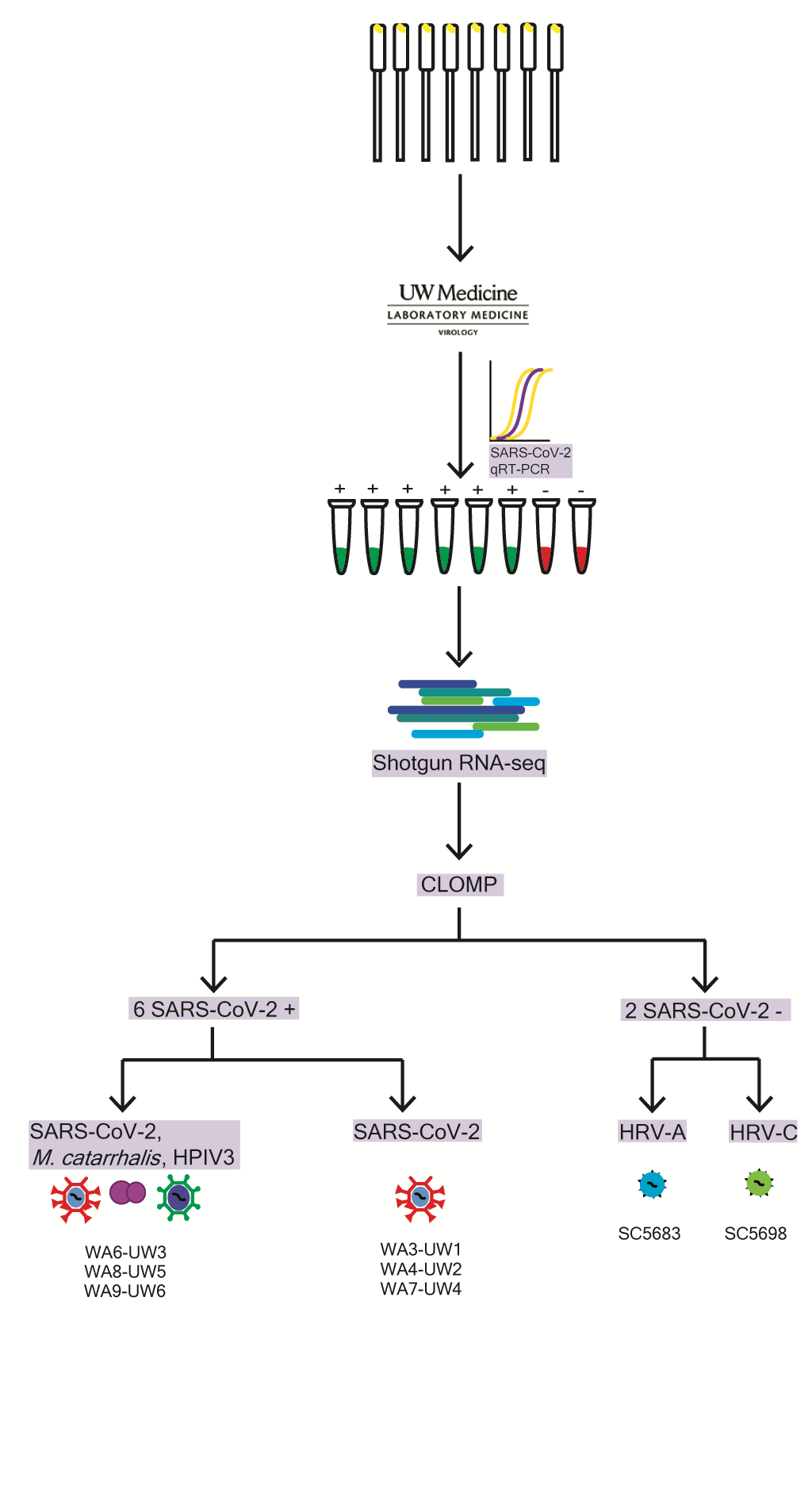 Metagenomic sequencing uncovers SARS-CoV-2 co-infections | Fred ...