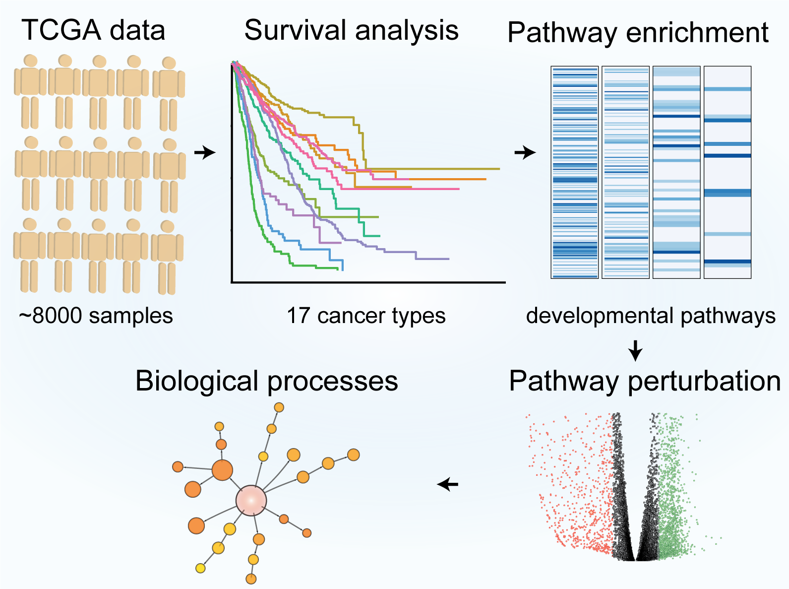 Activation of developmental pathways correlates with poor clinical ...