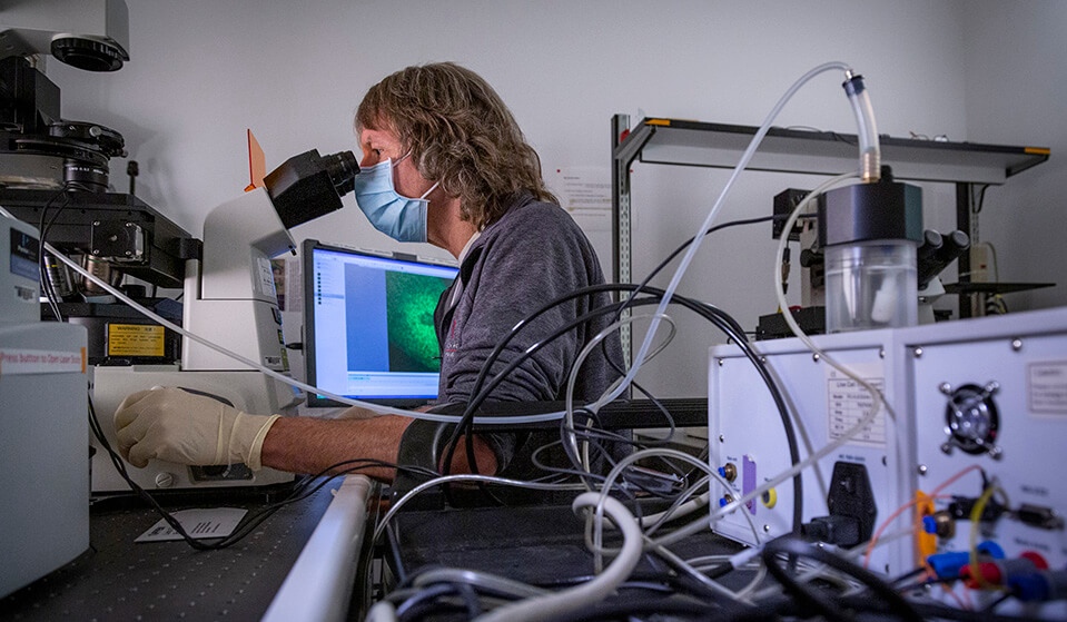 Cellular Imaging | Fred Hutchinson Cancer Center