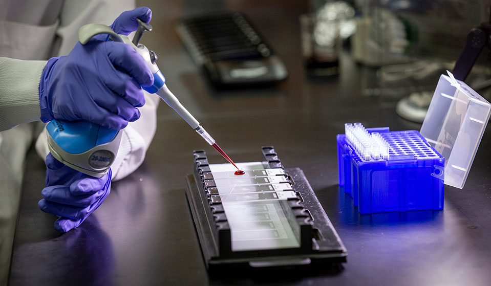 Experimental Histopathology - Fred Hutch