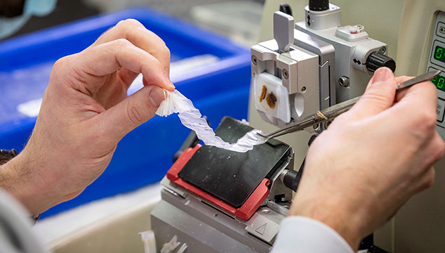 Experimental Histopathology | Fred Hutchinson Cancer Center